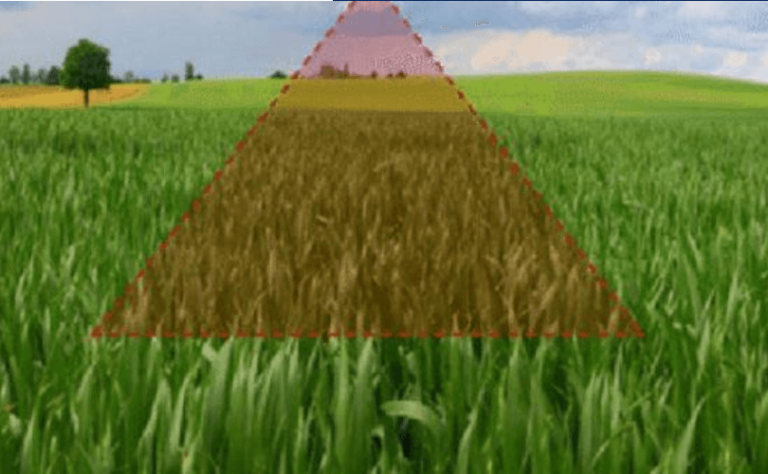 Mosquito Sensor - Developer's Cases - ADUK GmbH